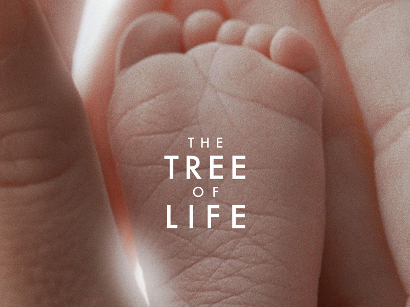 The Tree of Life: finalmente il trailer italiano