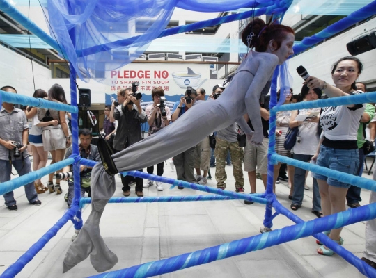 La protesta di Alice Newstead appesa a dei gangi per 15 minuti