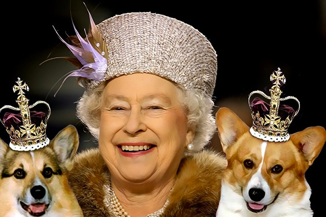 La Regina vieta a William e Kate di portare il loro cane a Capodanno