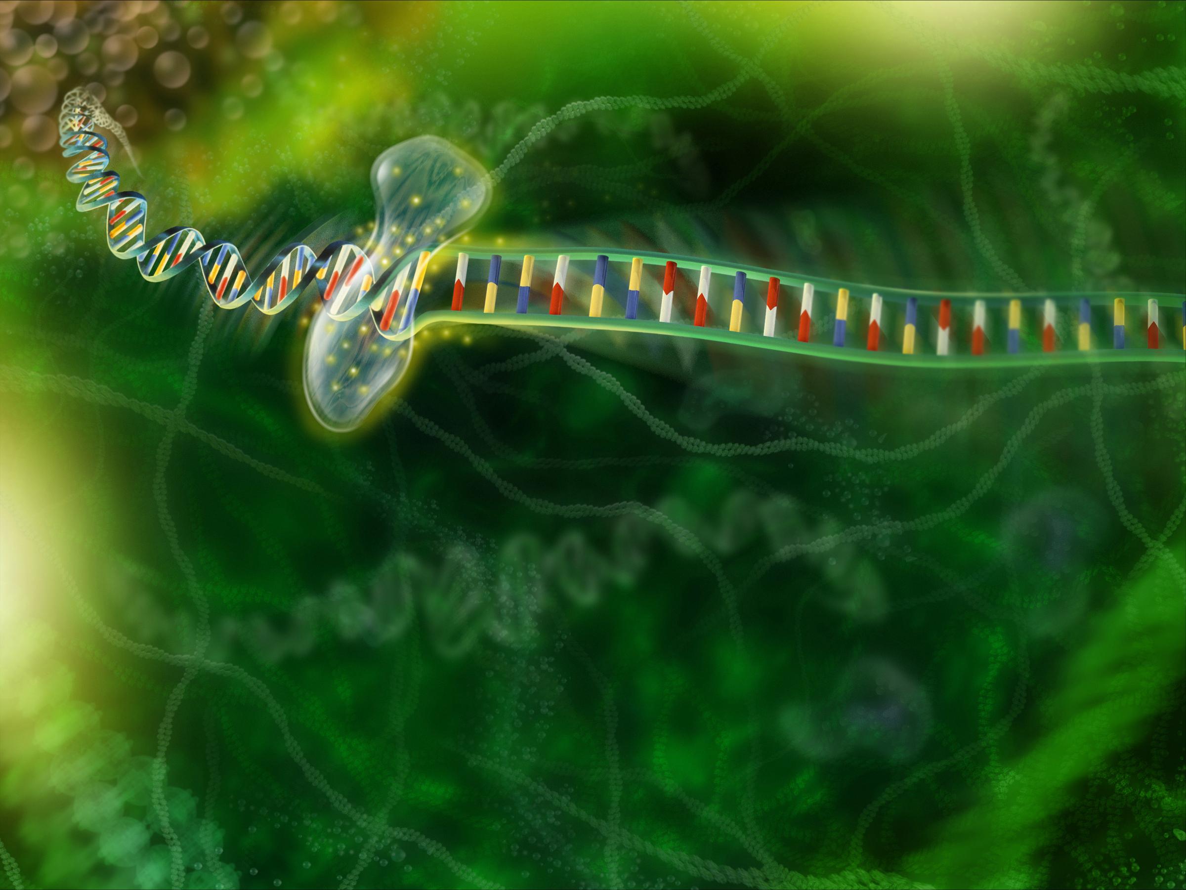 Dalla biologia uscirà la prossima scoperta del secolo?