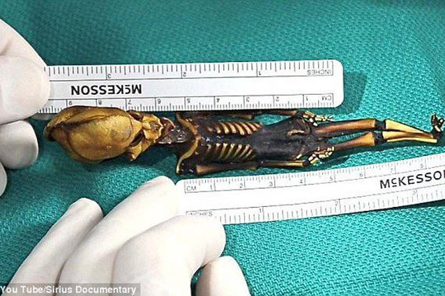 L'Alieno di Atacama raccontato dal documentario Sirius (VIDEO)