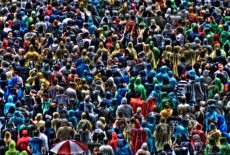 Anna Coluccino | Tech Fanpage