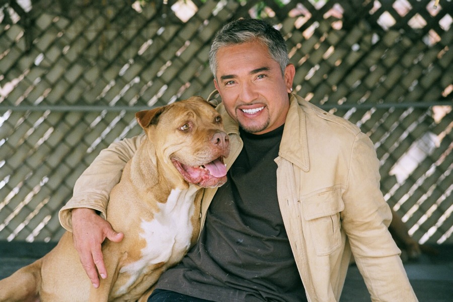 Lo psicologo dei cani Cesar Millan criticato dagli addestratori
