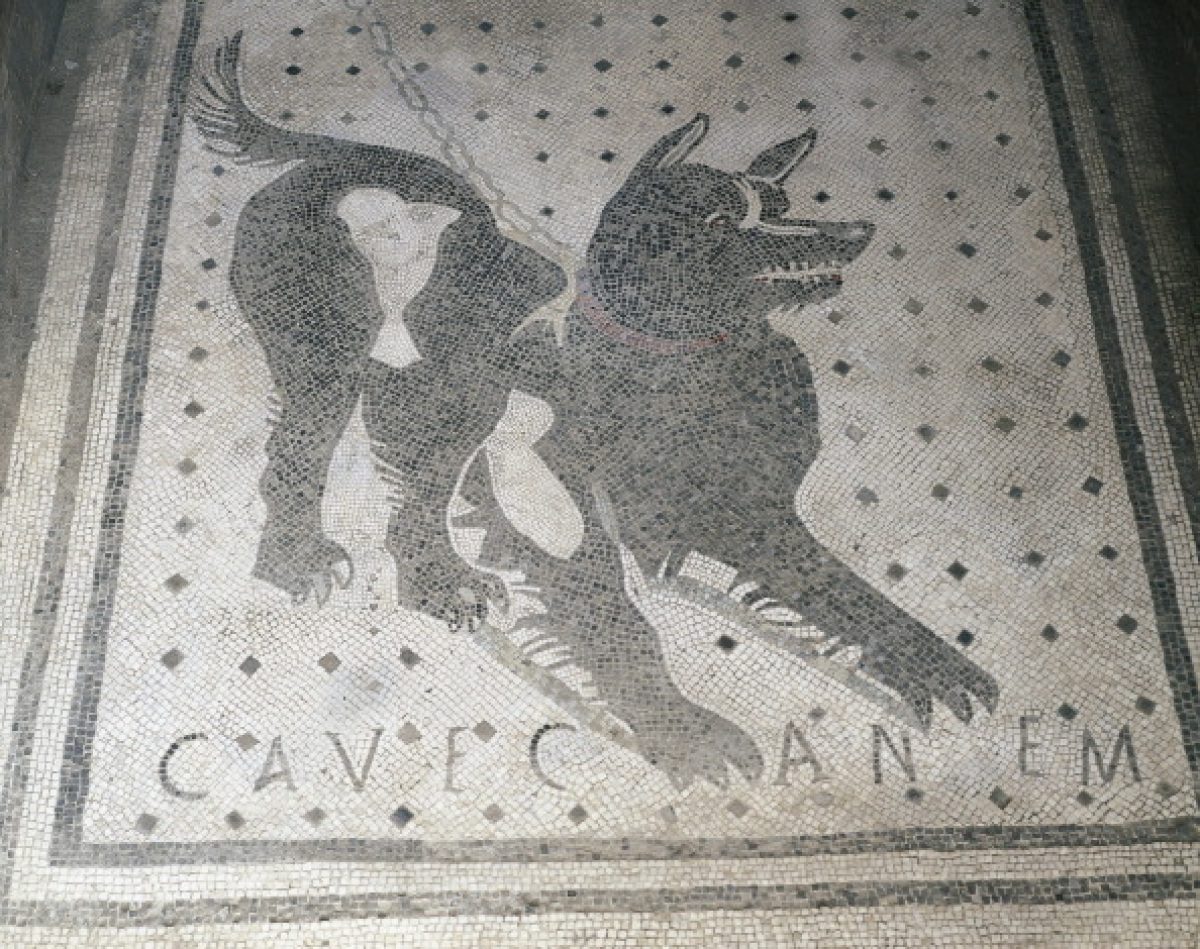 A Pompei il mosaico Cave Canem torna all'antico splendore dopo il restauro
