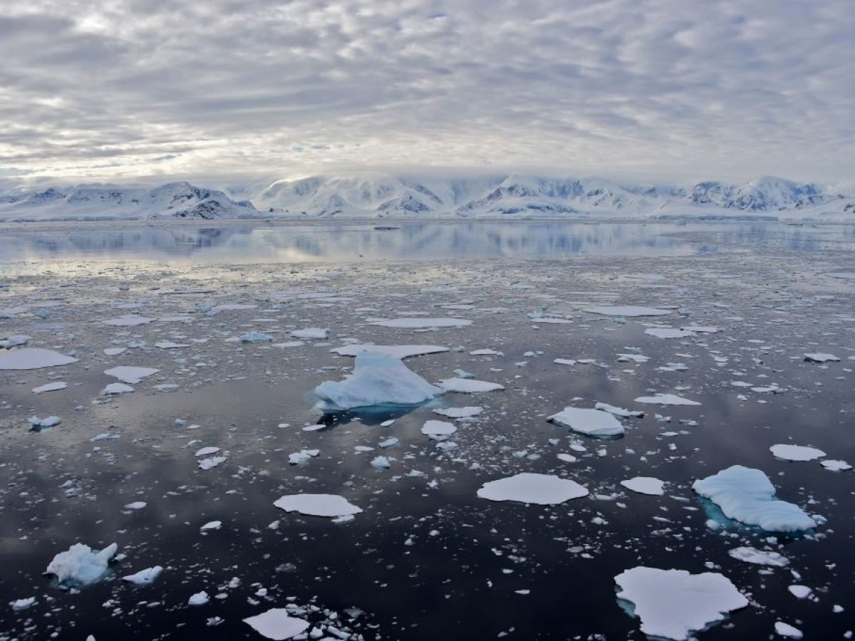 Clima, in Antartide temperatura record di 18 gradi e mezzo: sciolto l ...