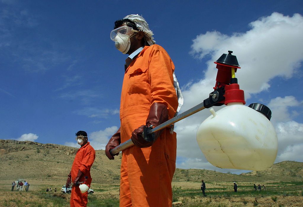 Peste bubbonica in Cina, intero villaggio in isolamento dopo la morte ...