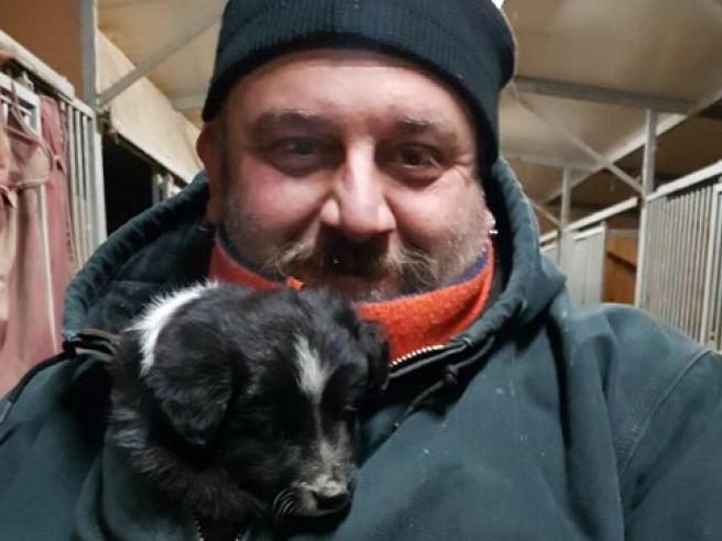 Vede il figlio sentirsi male sulle scale e morire davanti a lei, poche ...