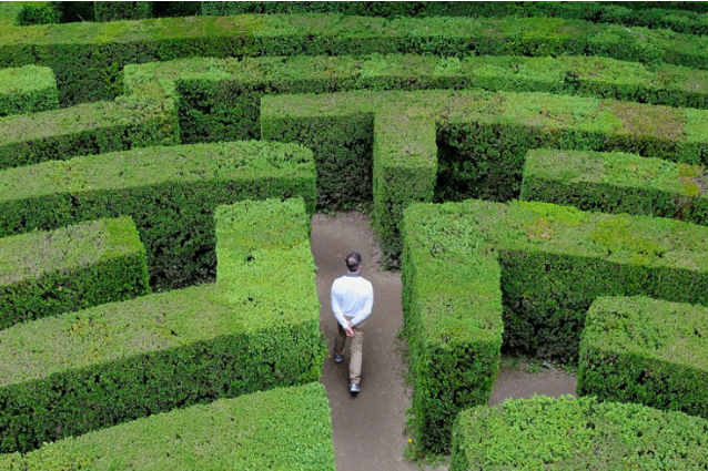 Alla scoperta del Bel Paese: i 10 labirinti più belli d'Italia