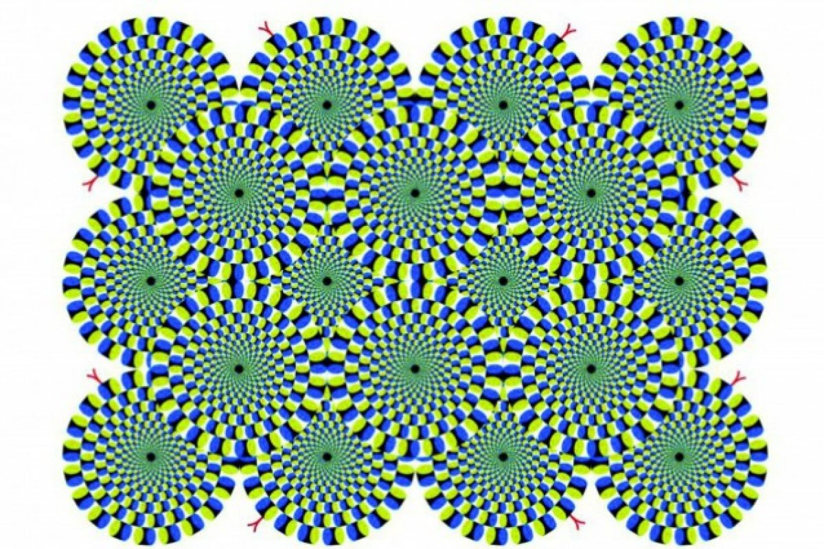 Fanno girare la testa: le illusioni ottiche più incredibili che abbiate ...