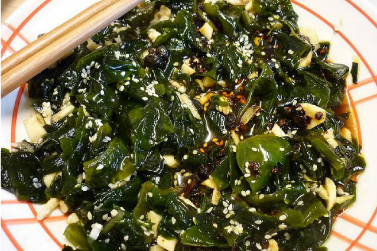 Alghe: tipi, proprietà e utilizzi