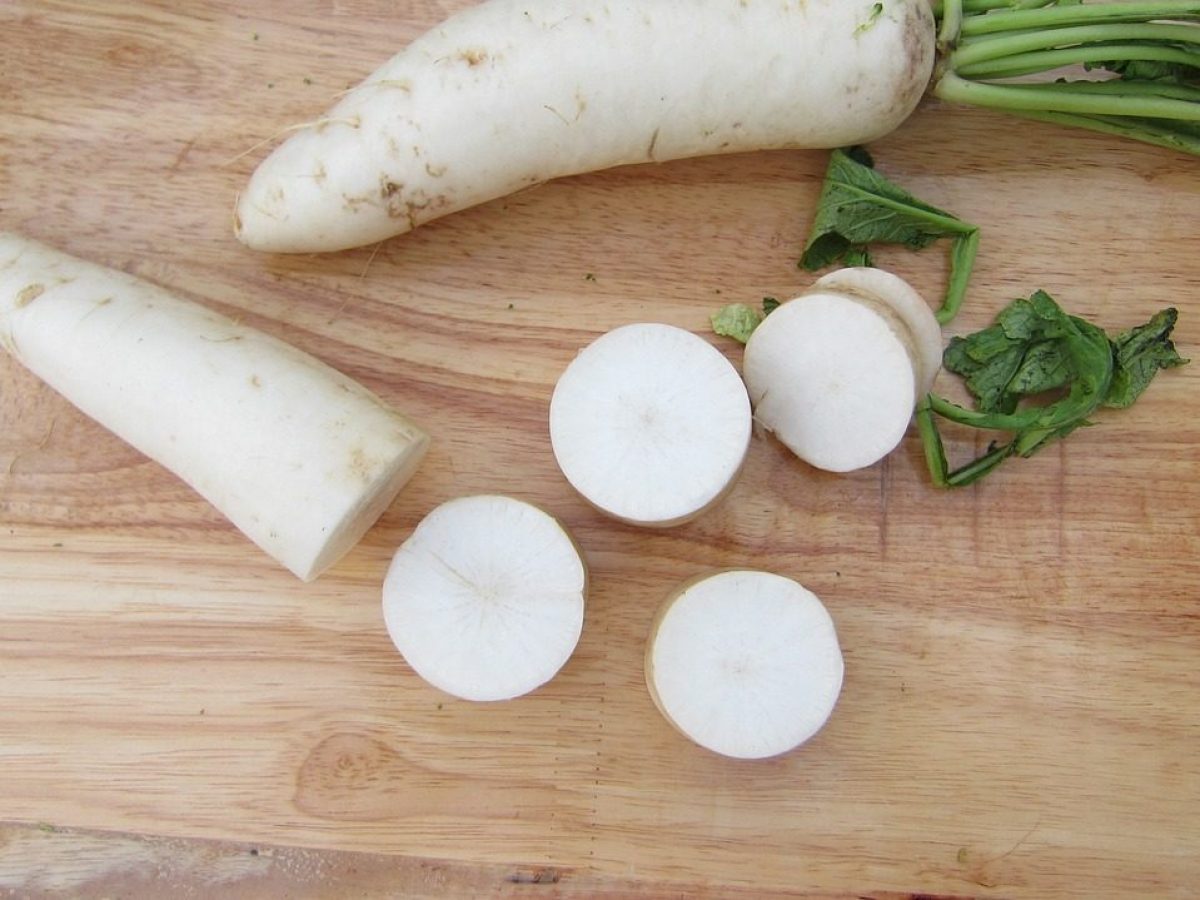 Daikon: proprietà benefiche e utilizzi del ravanello giapponese