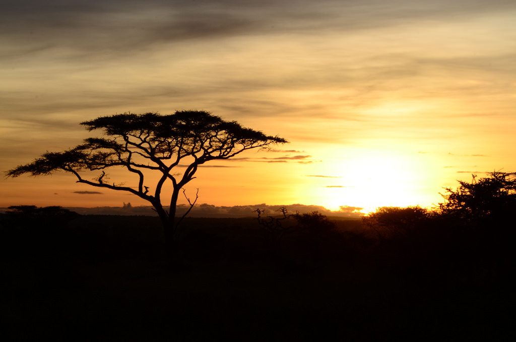 8 magici luoghi da dove vedere l'alba almeno una volta nella vita
