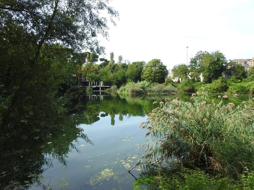 Il lago Ex SNIA Viscosa nel V Municipio diventa monumento naturale