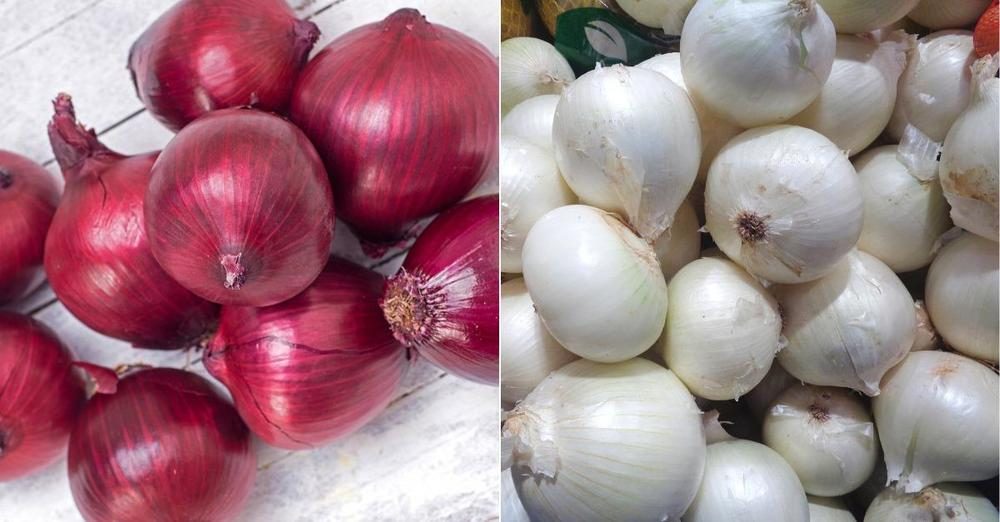 Cipolle rosse: varietà, proprietà e usi in cucina