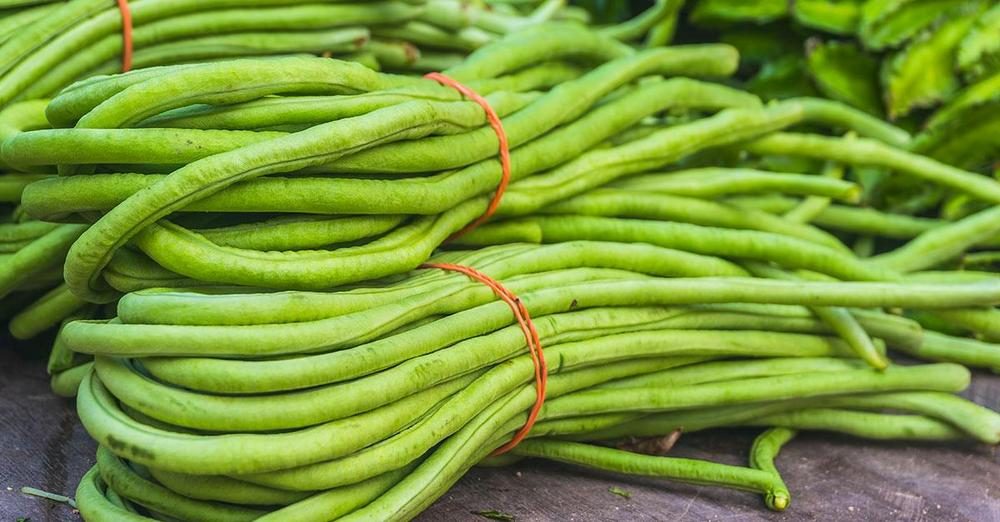 Fagiolini di Sant'Anna: cosa sono e come cucinarli secondo la tradizione