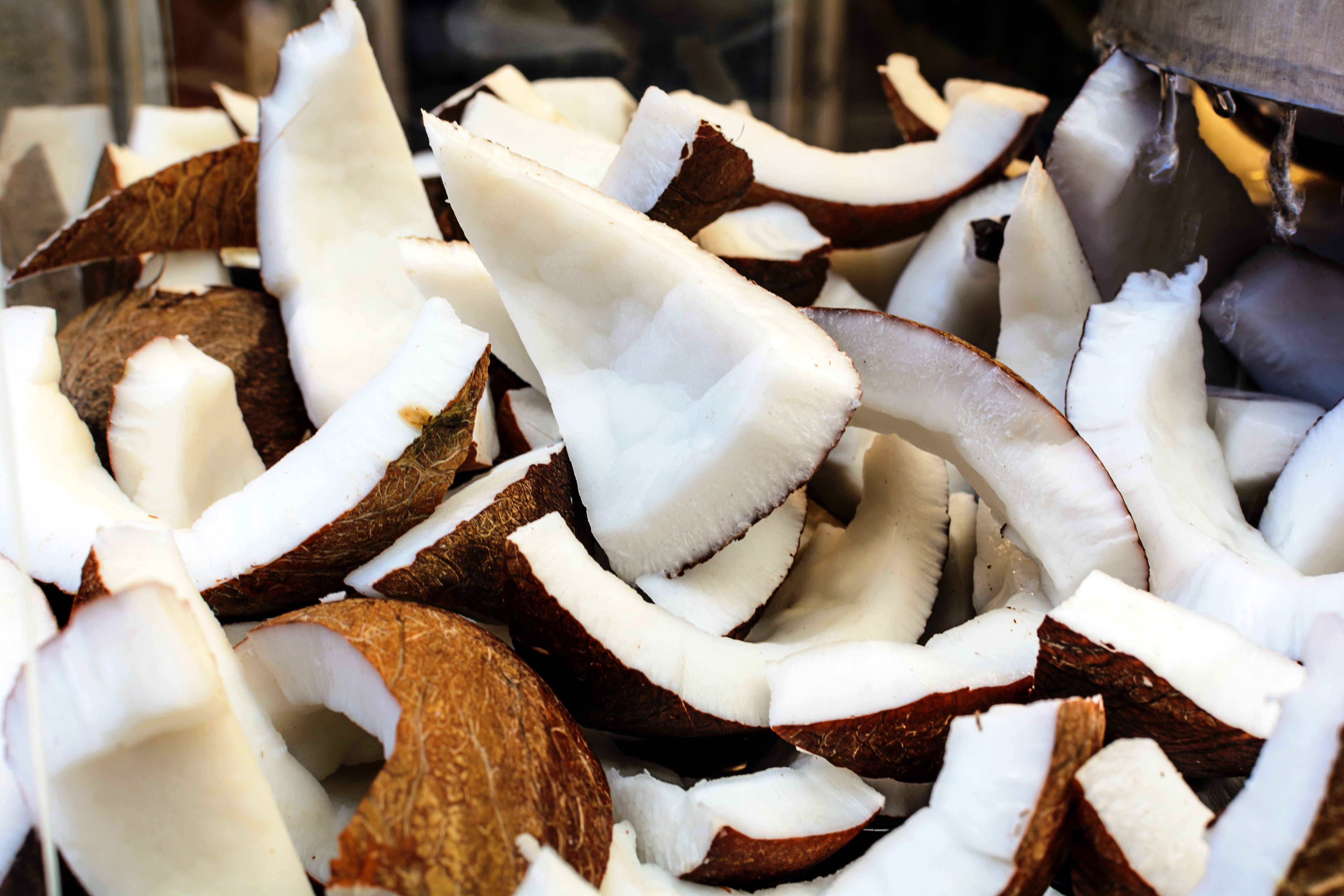 Cocco: proprietà, benefici e usi in cucina
