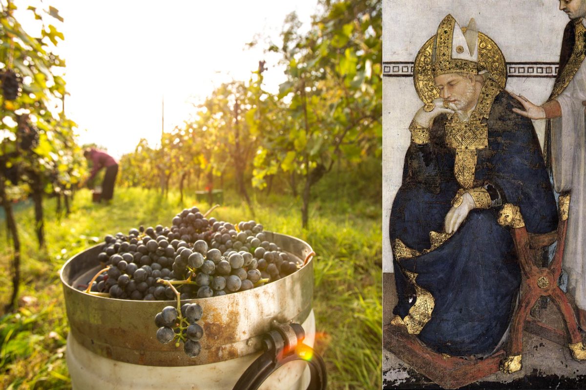 A San Martino ogni mosto diventa vino: perché si dice così?
