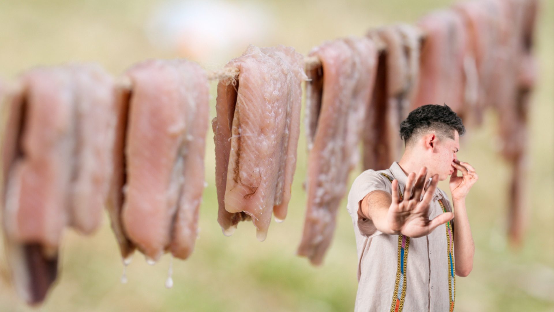Cos'è l'aringa fermentata: specialità svedese e cibo più puzzolente del ...