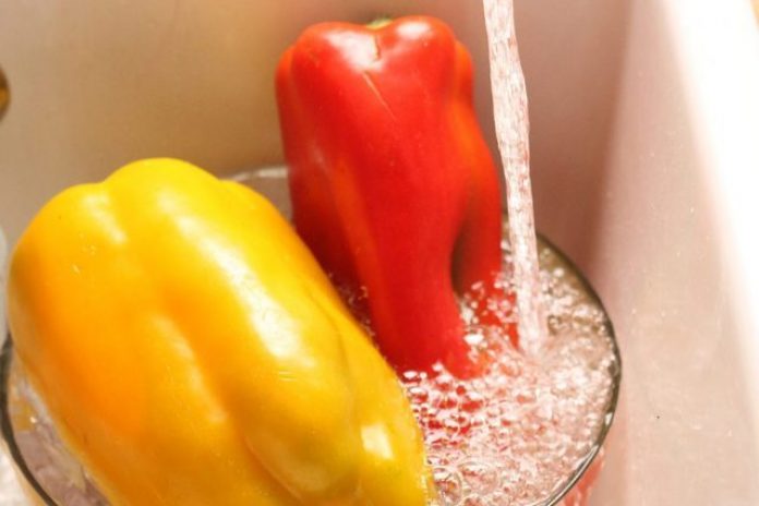Peppers packed in oil: how to prepare them at home