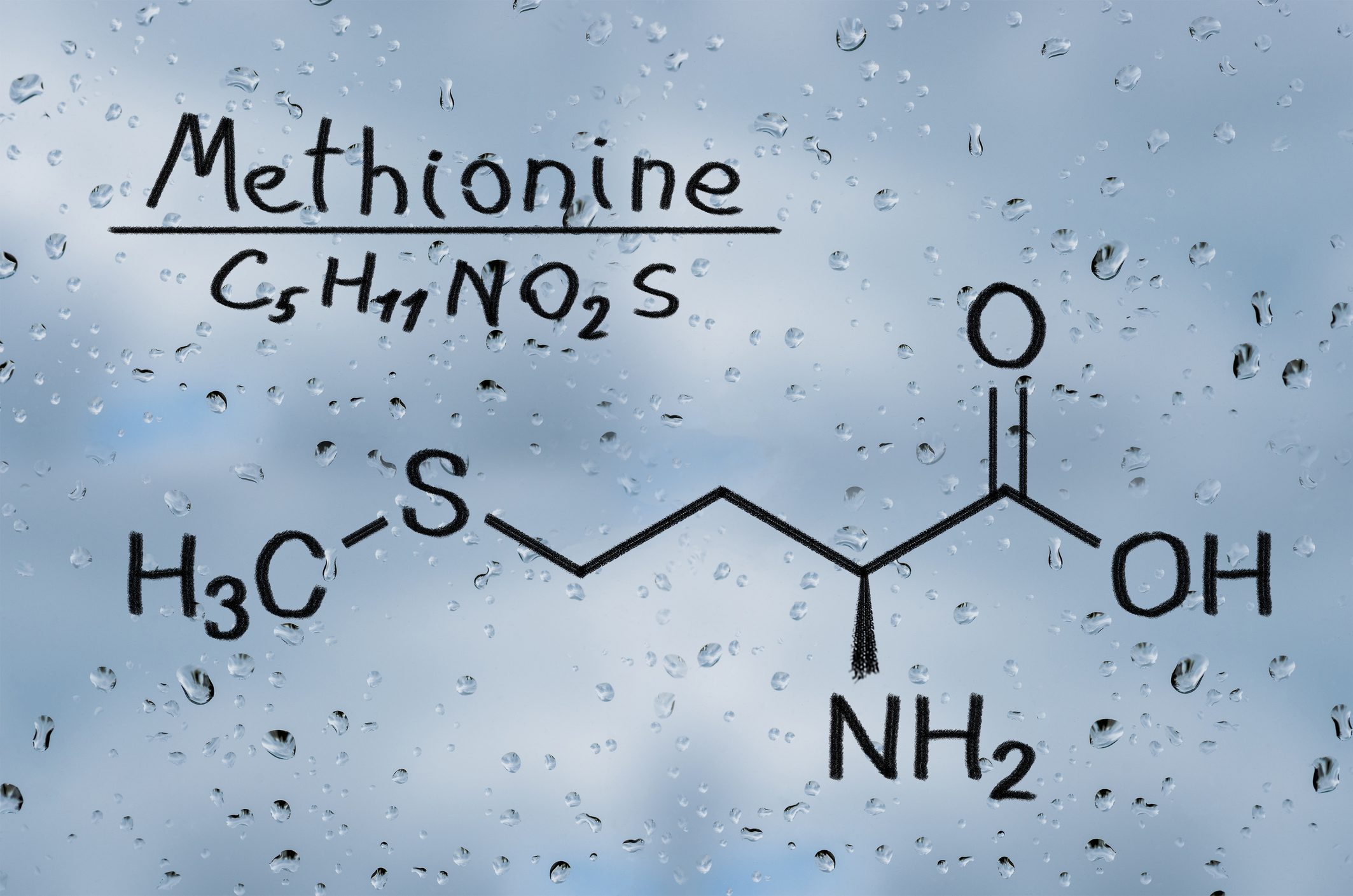 The fight between methionine and glycine for our health