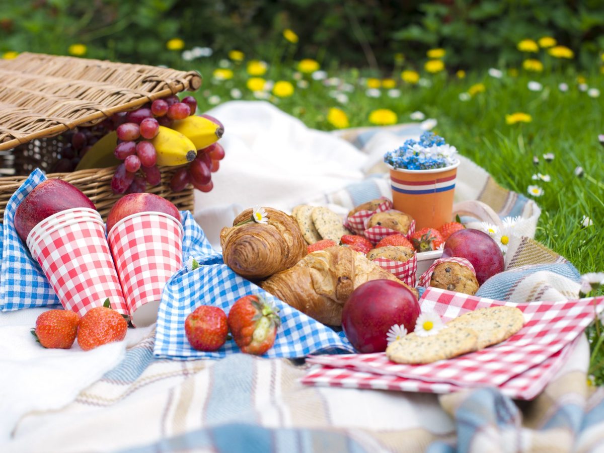 16 picnic recipes for the summer season | Cookist.com