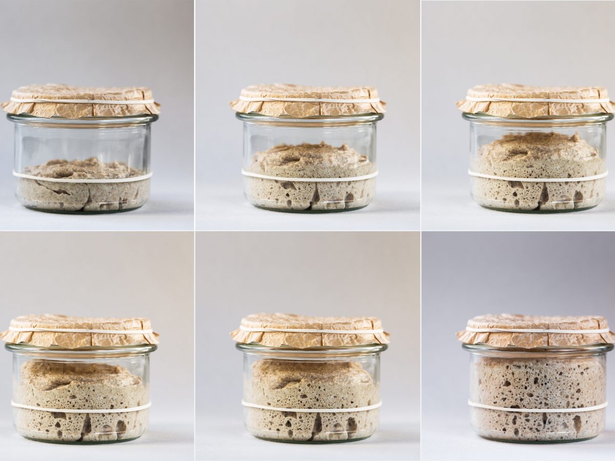Here's A Step-by-step Guide on how To Make A Fantastic Sourdough Starter