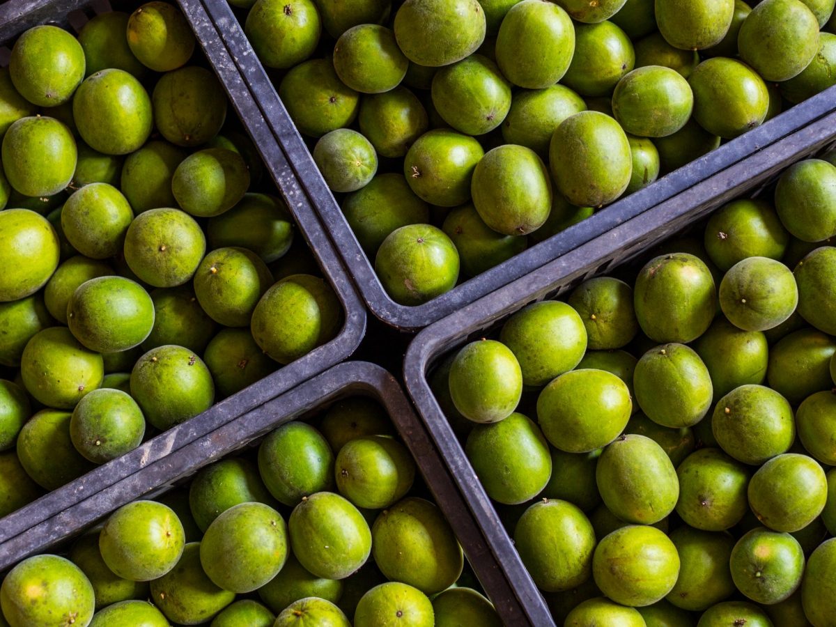 Is Monk Fruit the Answer to Alternative Sweeteners? Decide for Yourself ...