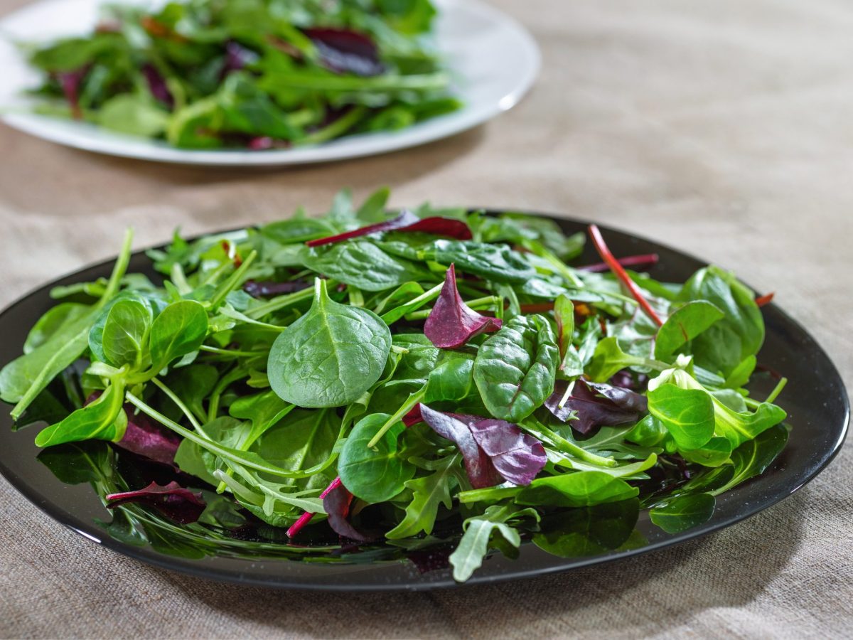 Not Sure About Your Leafy Greens? 5 Popular Varieties and How to Use Them
