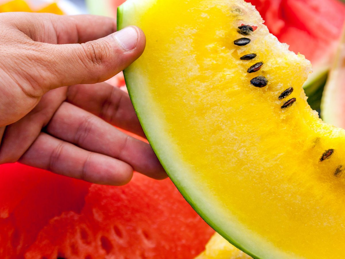 Yellow Watermelons, One Of Nature's Sweetest Wonders (Literally And ...