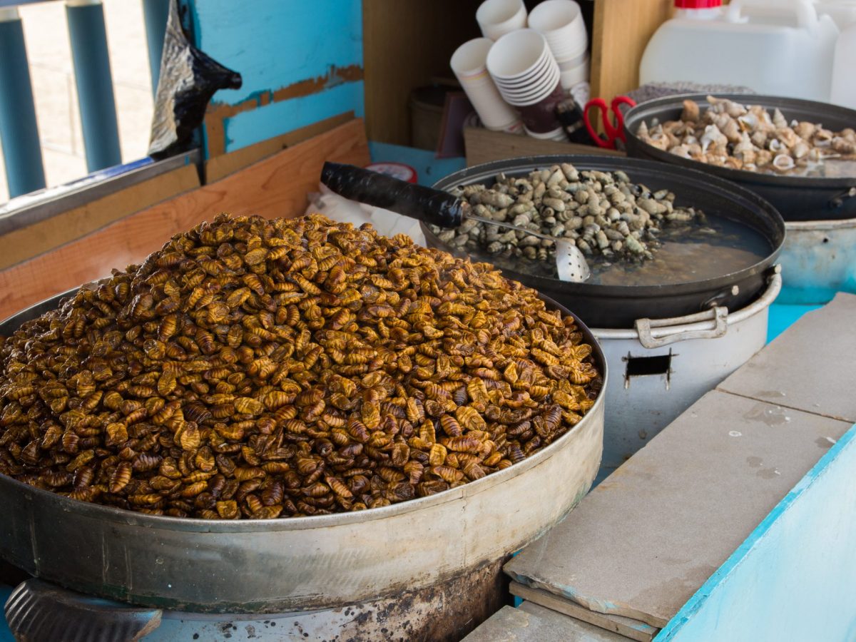 10 Strange Meals From Around The World — You Won't Believe These Are ...