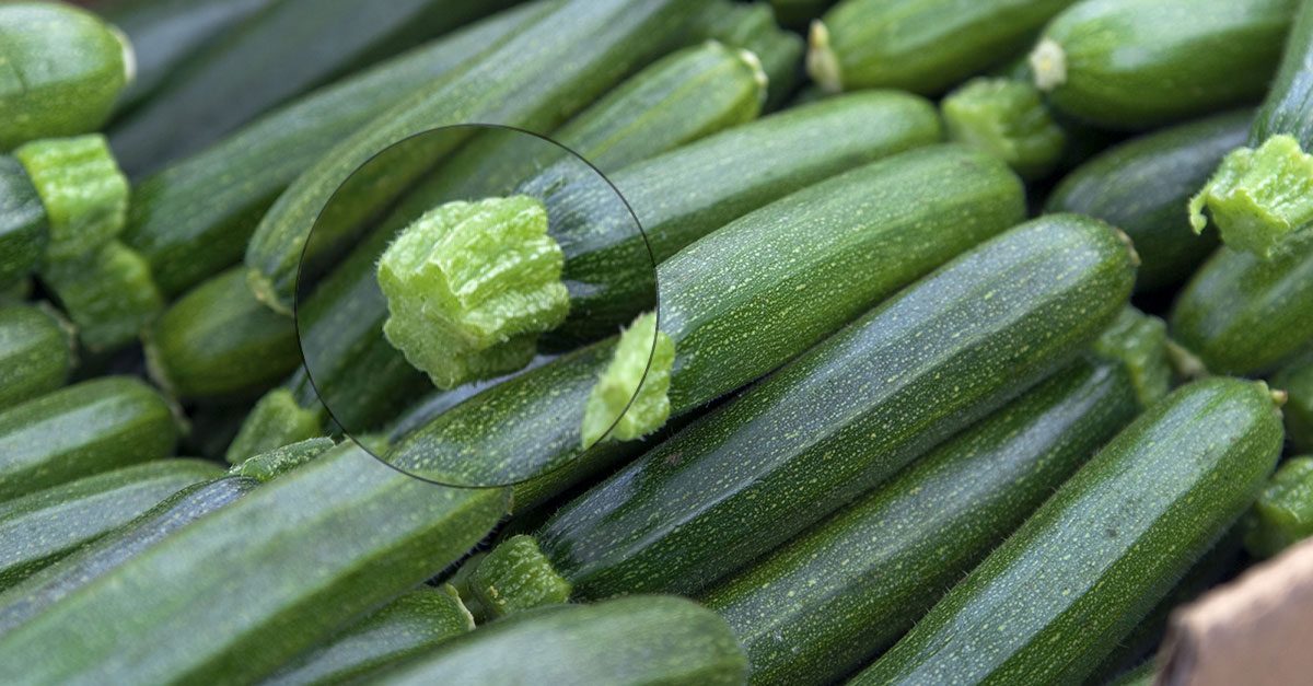 This Mini-Guide Will Help You Choose The Perfect Zucchini Every Time!