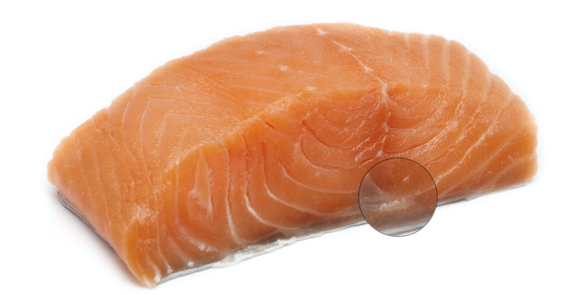 Food Safety: Everything You Need To Know About The Gray Area On Salmon