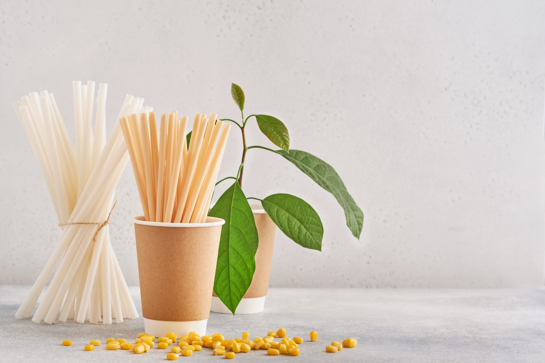 Biodegradable Straws: A Greener Solution