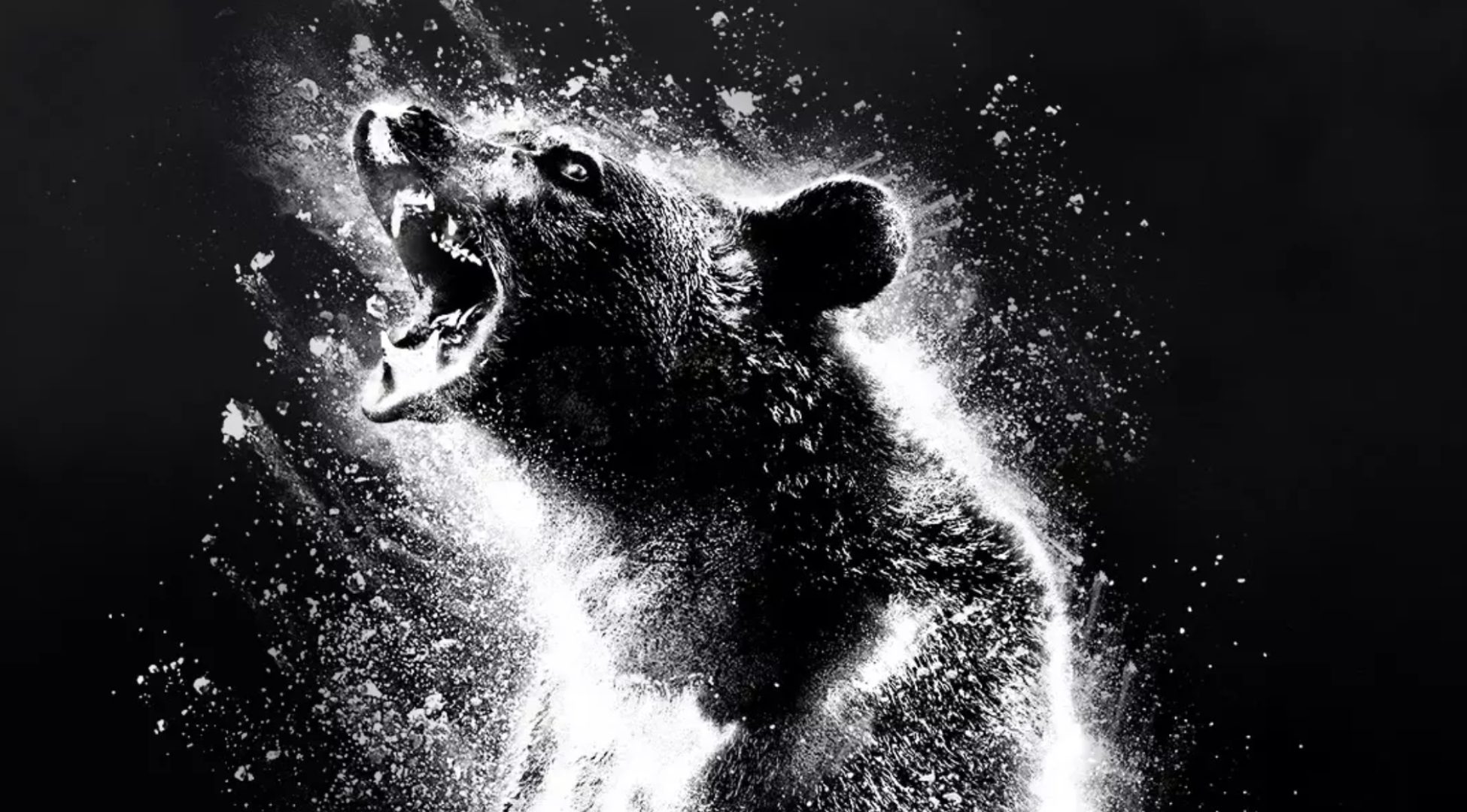 Cocain Orso, il film sulla storia vera dell'orso che mangiò 30 chili di ...