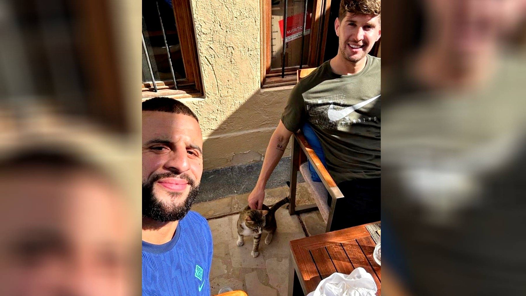 I calciatori dell'Inghilterra adottano il gatto trovato in Qatar: non ...