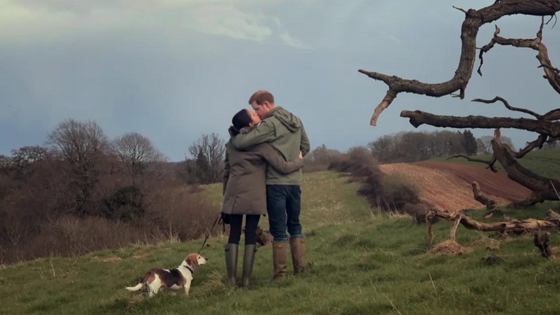 Harry e Meghan, perché il loro cane è testimone d'amore