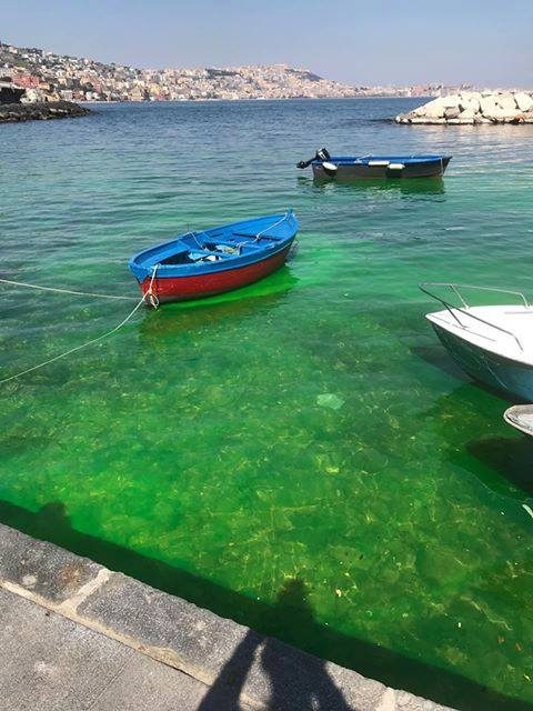Riva Fiorita a Posillipo, il mare diventa color verde fluorescente. Ma ...