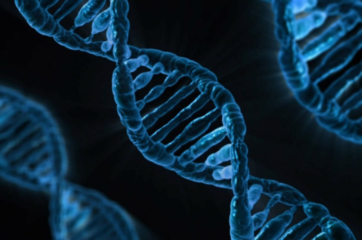 Il super DNA che protegge da alcune malattie genetiche