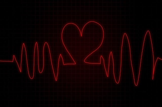 Il cuore inizia a battere già 16 giorni dopo il concepimento