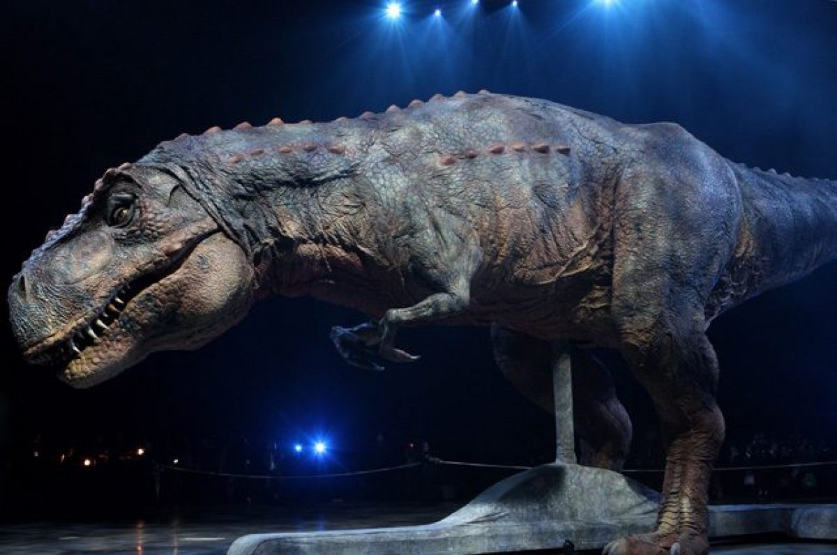 Il T-rex usava le sue 'braccine' per squartare le prede