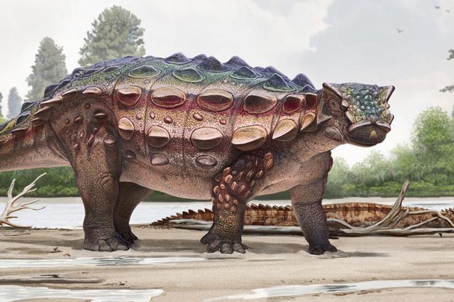 Un nuovo dinosauro corazzato emerge dalla terra: chi era il possente ...