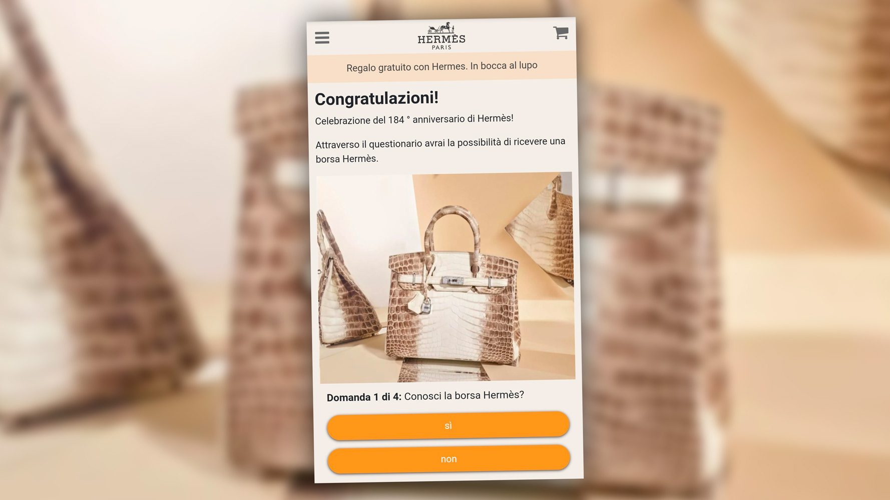 Non rispondere al messaggio WhatsApp che ti regala una borsa Hermes: è ...
